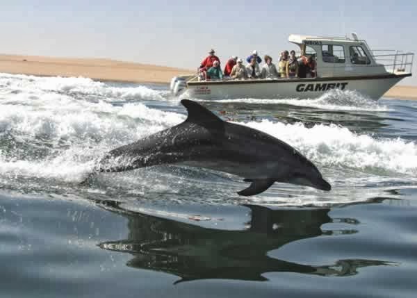 Namibia Reservations: Fun Things to do in Walvis Bay