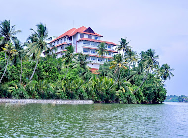 THE RAVIZ: THE RAVIZ