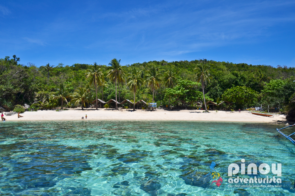 I fell in love with Halea Nature Park in Monreal, Ticao Island, Masbate ...