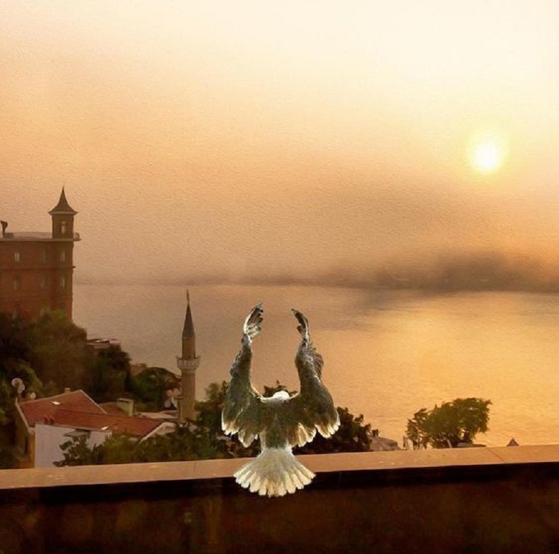 RESİM-ART: Serpil Berkan .. '' İstanbul