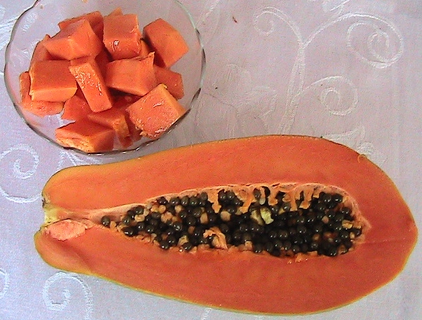 My Back Forty Garden and Park: Papaya