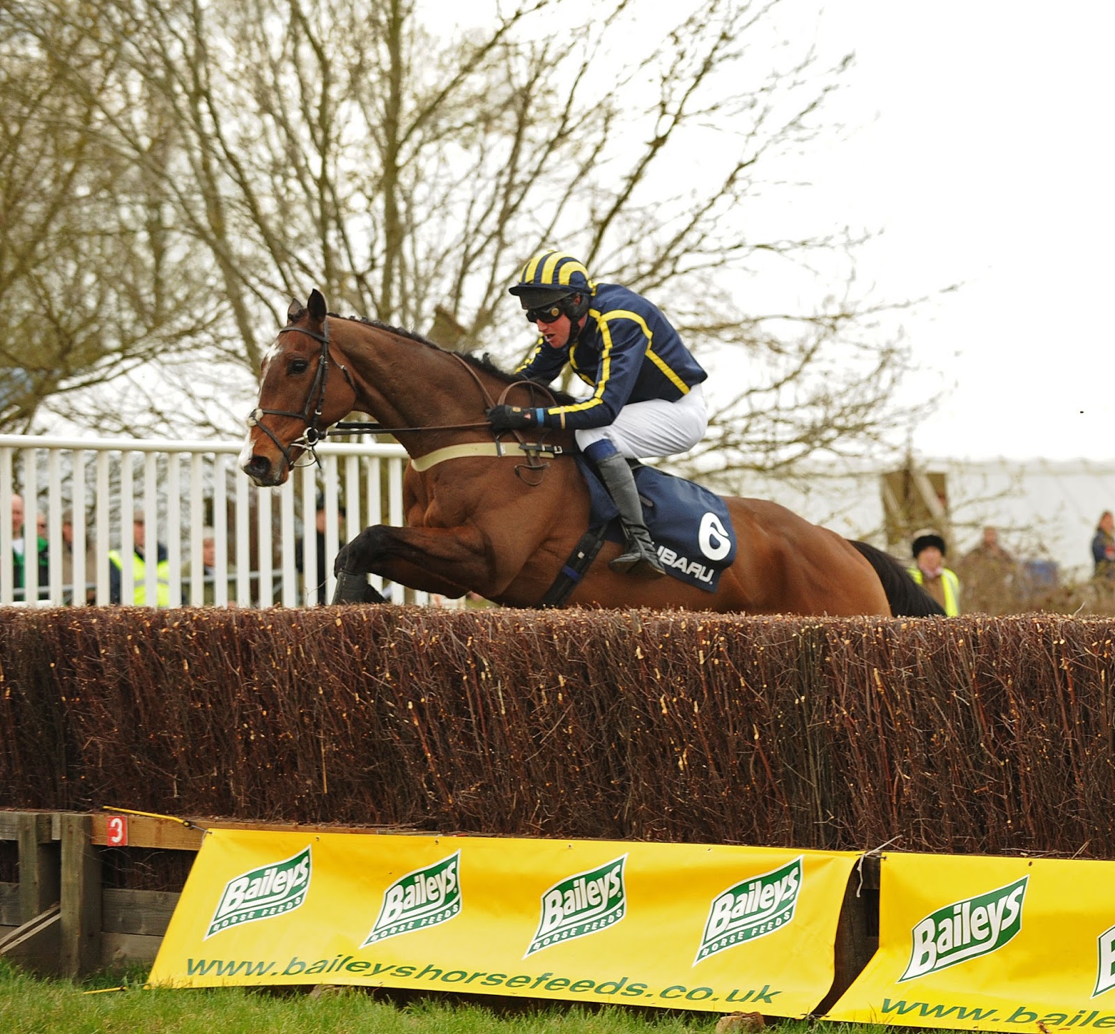 www.mjayphotography.co.uk: HIGH EASTER POINT TO POINT, HIGH END RACING ...
