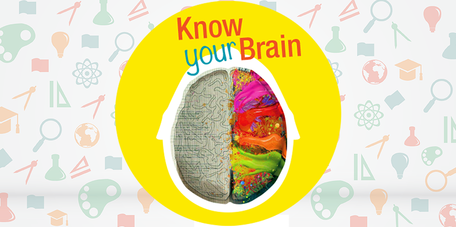 Mid brain activation: MID BRAIN