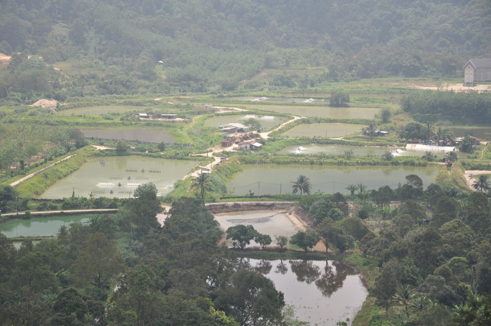 Sungai Siput Boy: Pekan Broga: Gigantic Monkey God at Sak dato Temple ...
