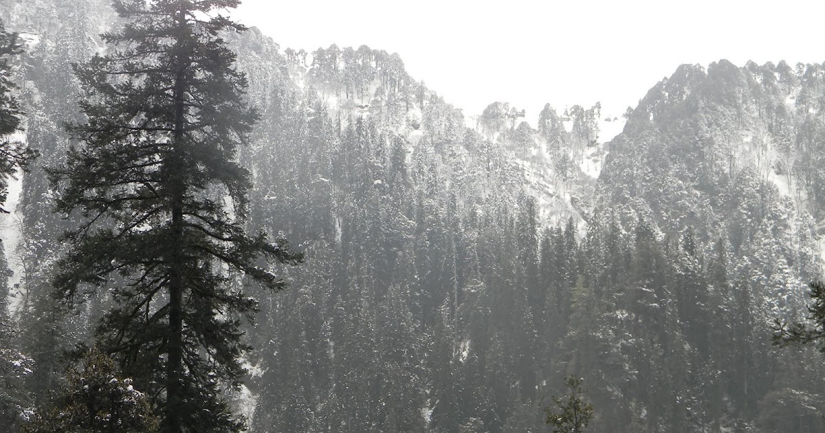 UNEDITED WALLPAPERS OF NATURE