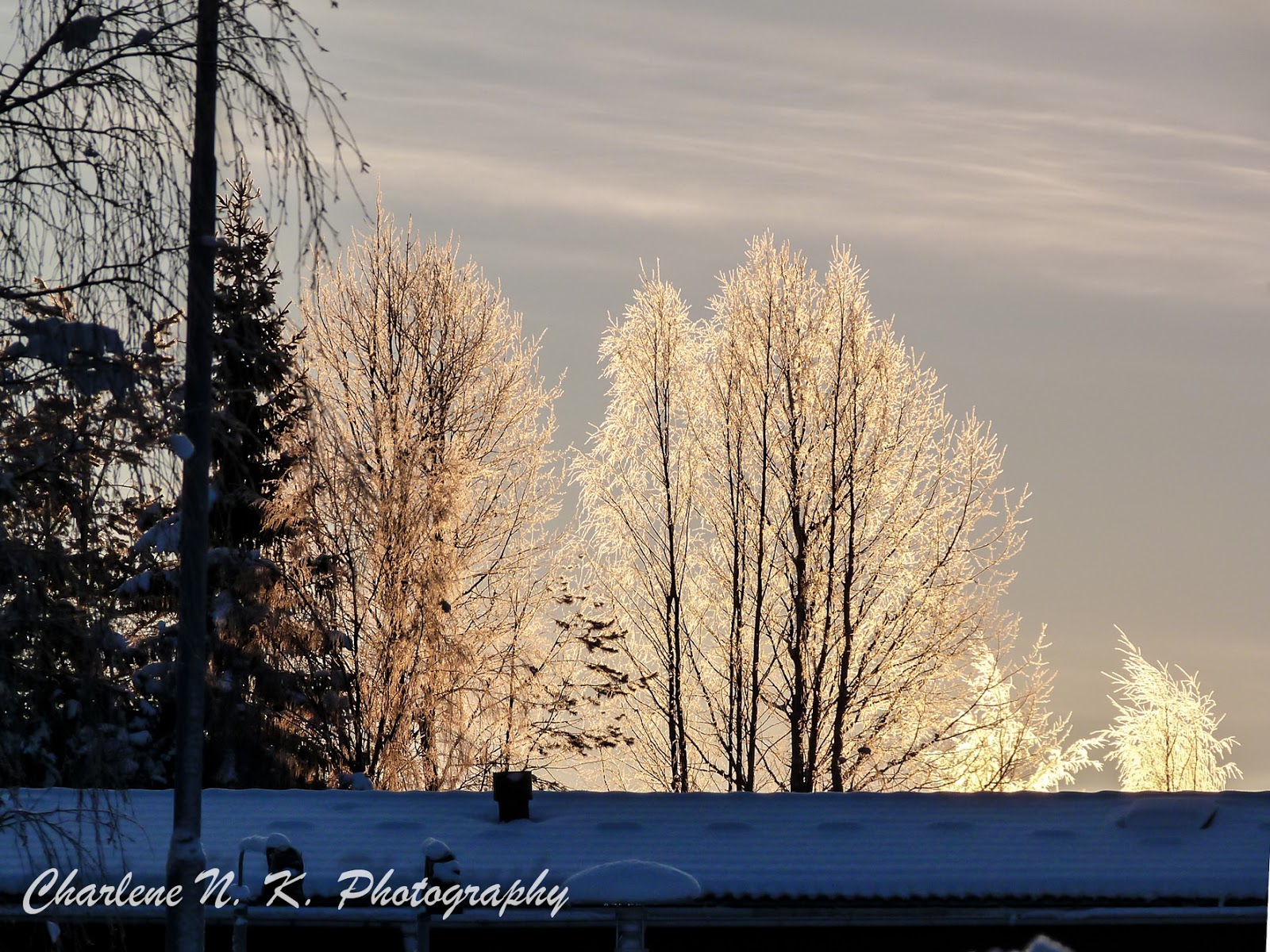 And Winter Marches On |Blissful Solitary Wanderings