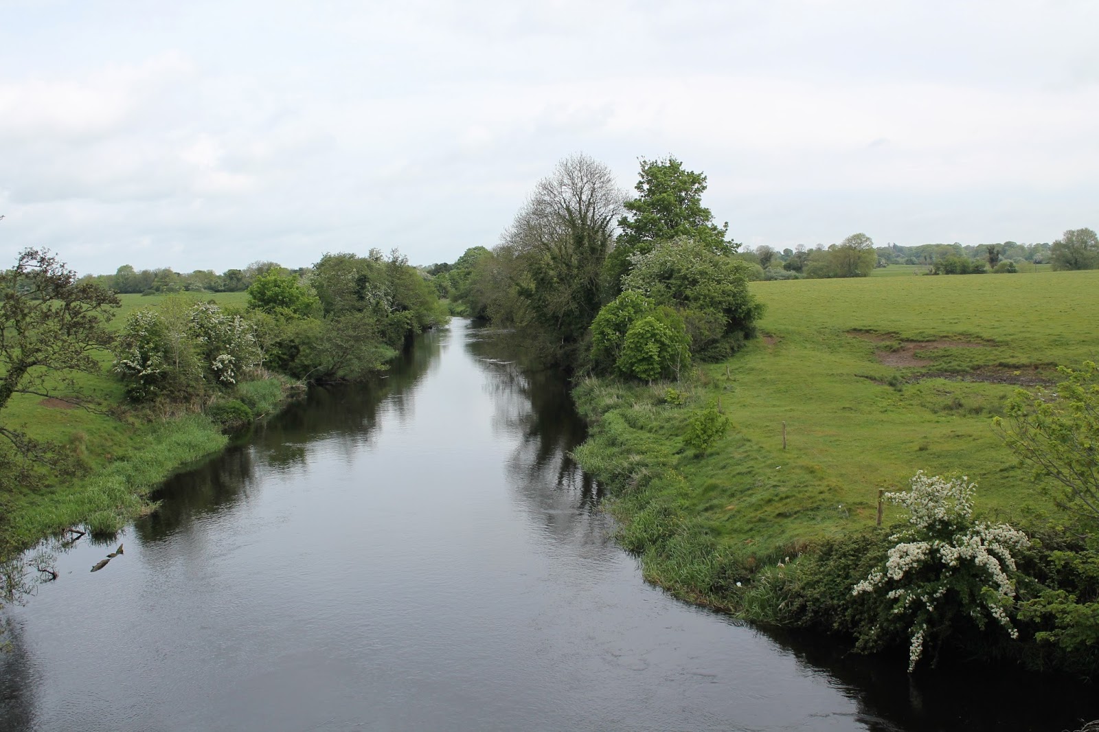 Trip on a Barge - Purity Belle Environmental Blog