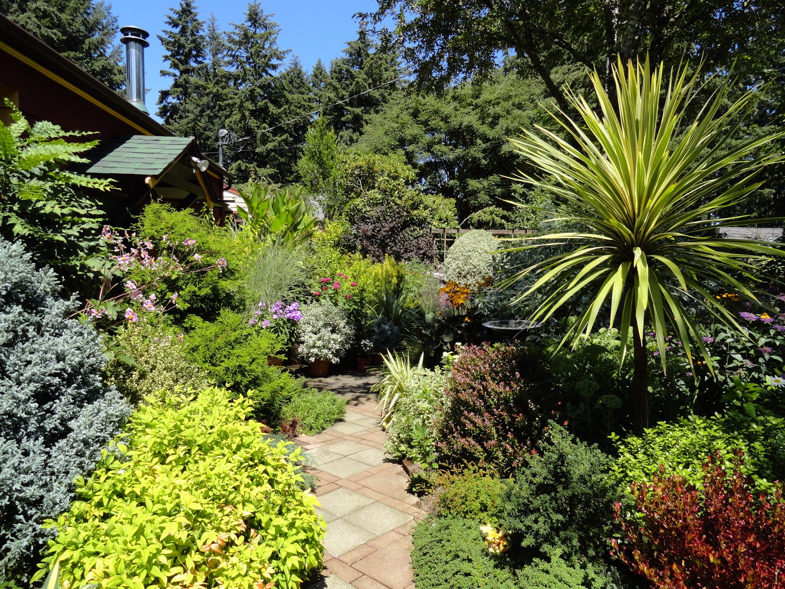 danger garden: A revisit: to a very densely planted, beautiful, garden...