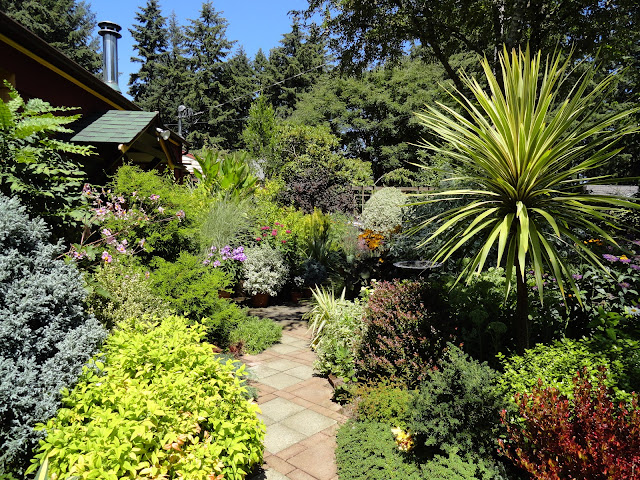 danger garden: A revisit: to a very densely planted, beautiful, garden...