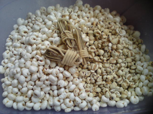 Cooking Pleasure: China Barley Drink