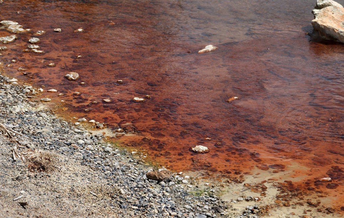 A photo, A thought............: Place: Colored extremophiles of ...