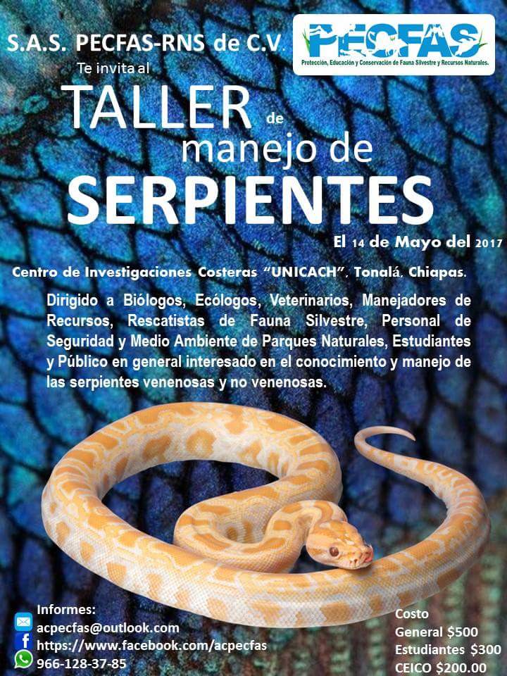 Imagen de Tonalá Chiapas: PECFAS-RNS S.A.S. de C.V. invita a su Taller ...