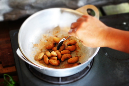 Jamban Adventures: Mukah