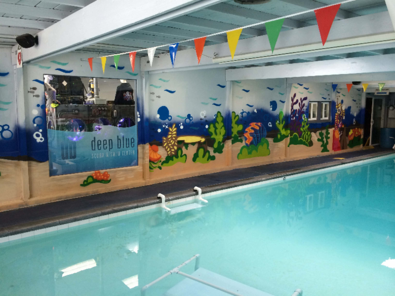 Deep Blue Swim School Deep Blue Swim School