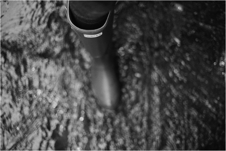 The Southern Swoop Blog