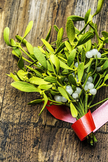Heaven can wait : Mistletoe - Evolution of a Christian Tradition