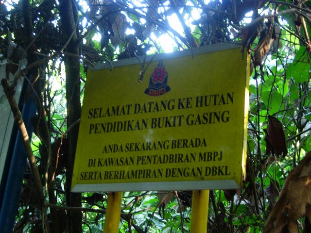 Life's An Adventure!: Bukit Gasing