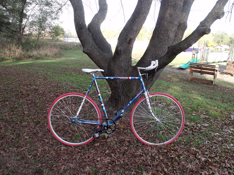Sears Korean Lugged Frame Fixed Gear Project Update | carinday