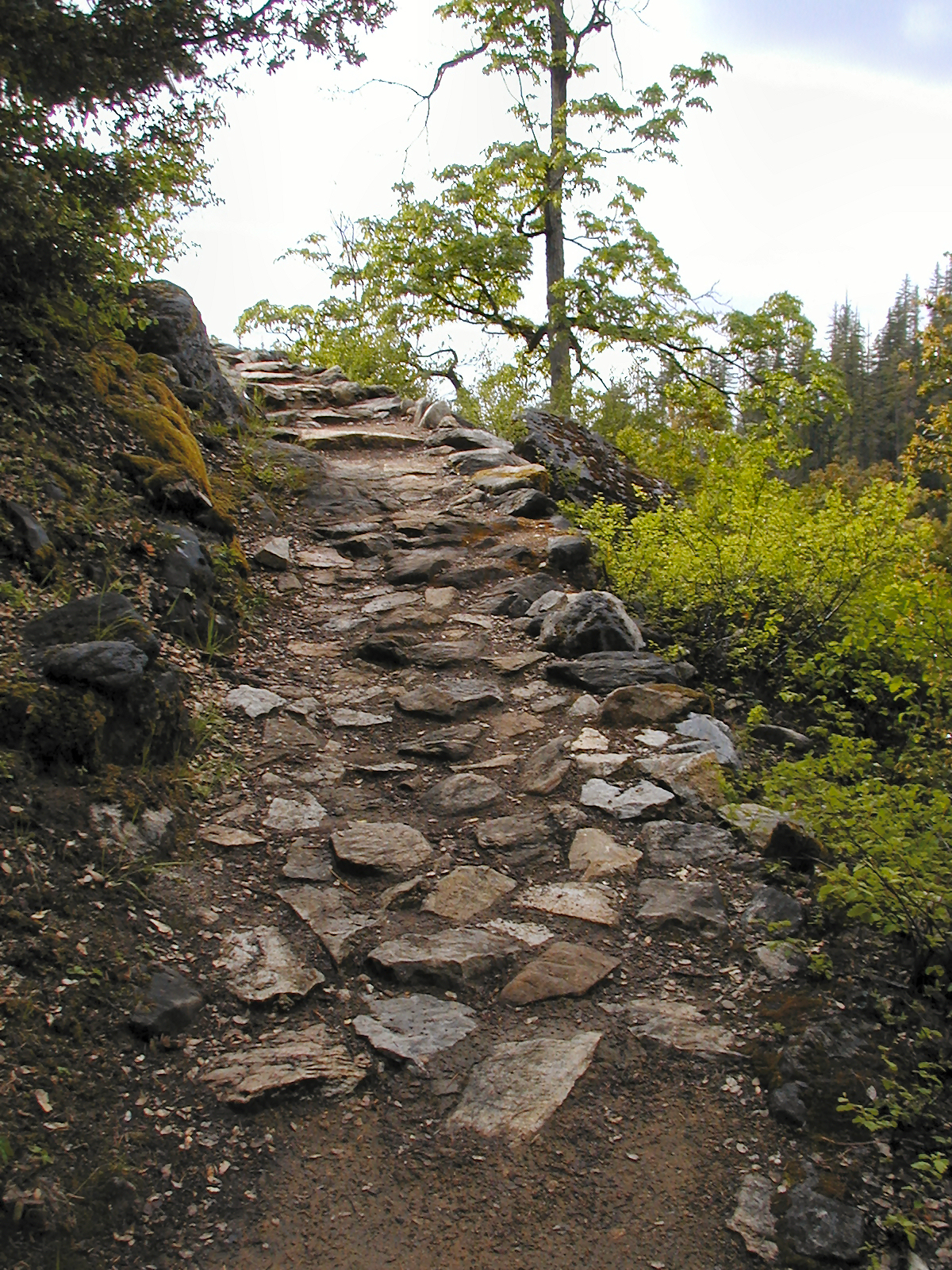 Historic Hotels & Lodges: Oregon Caves Chateau - Page 12