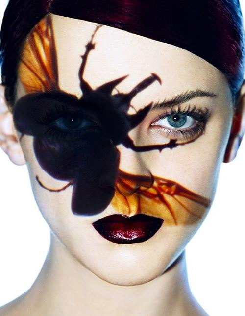 Wings Style: INSECTOFOBIA