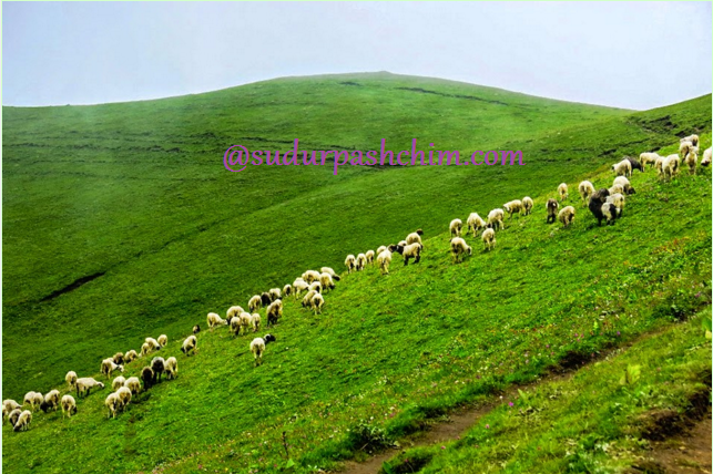 Beautyful farwest Nepal's Badimalika, Bajura journey (Photo feature ...