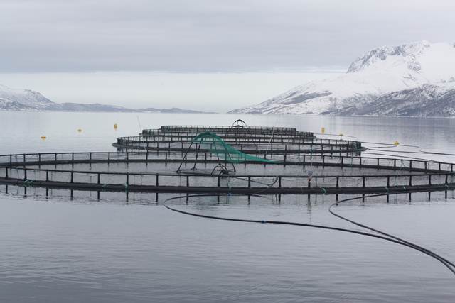Deep Sea Fish Farming in Geodesic Domes: Upgrade ~ Delicious Vision