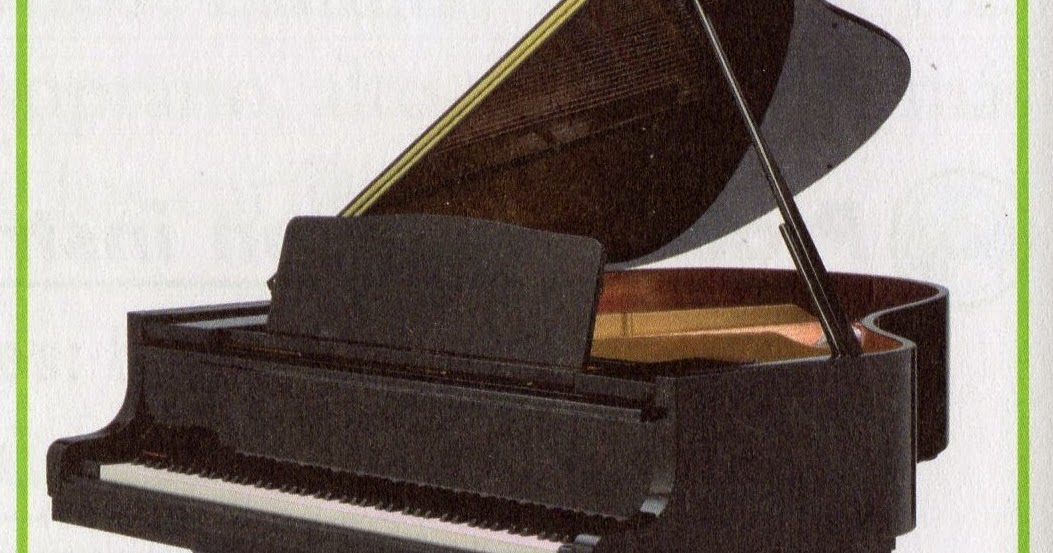 Música 3º: INSTRUMENTOS DE CUERDA PERCUTIDA