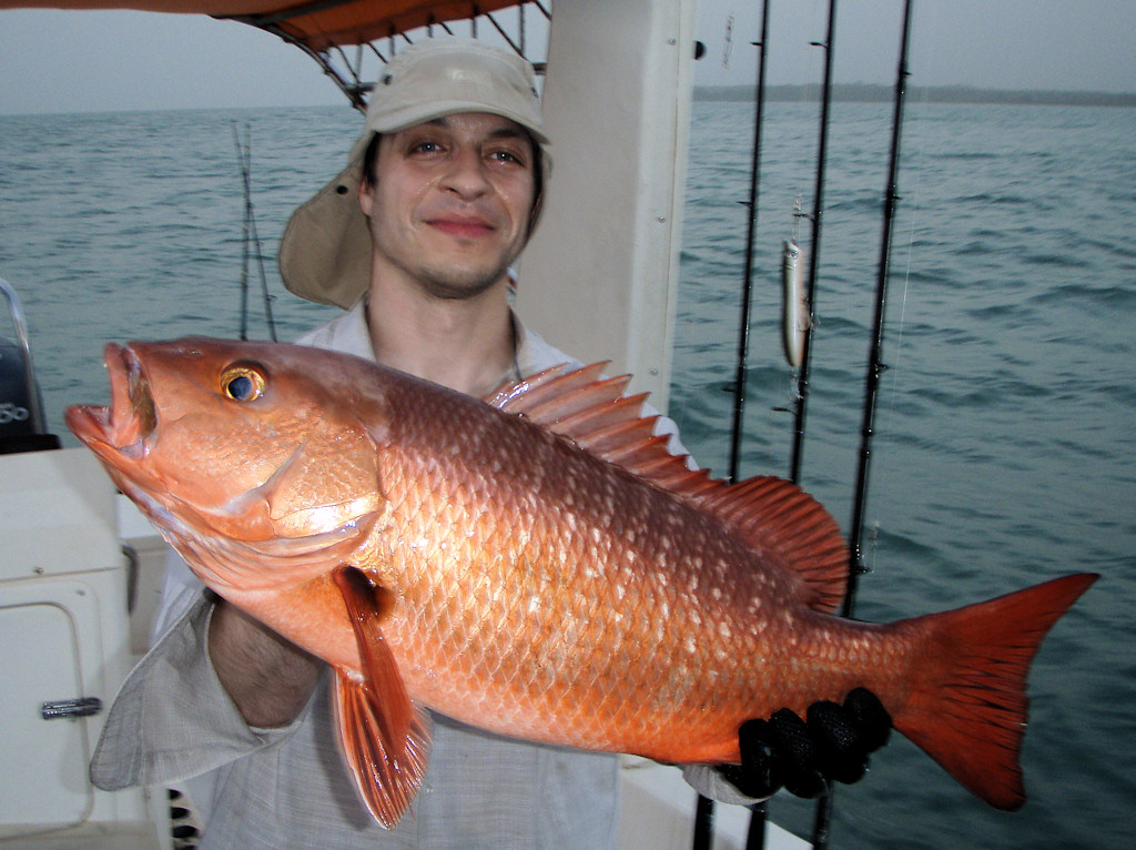 Wędkarskie przygody Tomaszka: Lucjan gwinejski