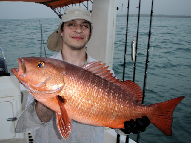 Wędkarskie przygody Tomaszka: Lucjan gwinejski