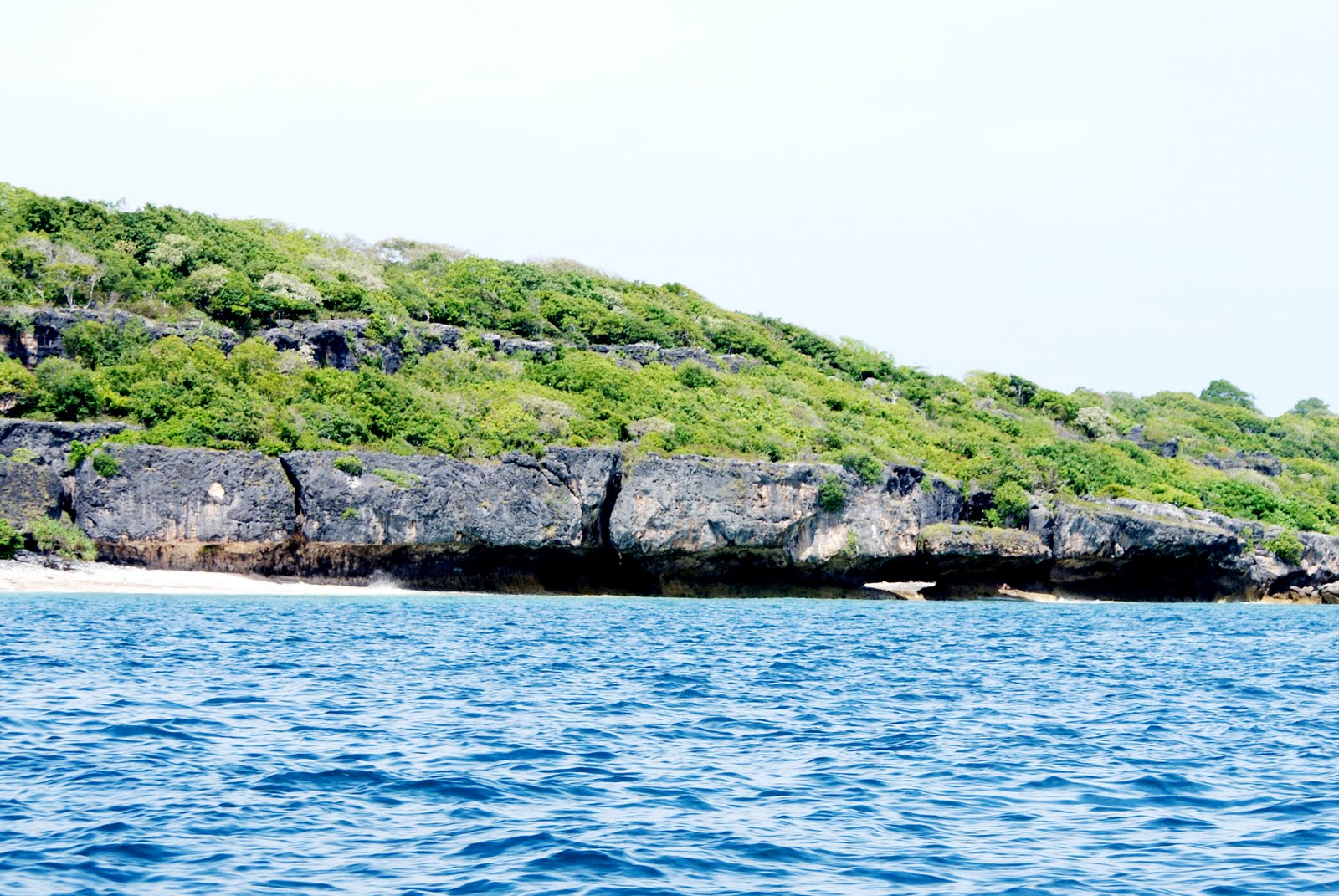 Pulau Sabu dan Raijua - Nusa Tenggara Timur | Wiki Wisata