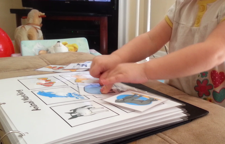 Working Supermom: Toddler Learning Binder Series Introduction