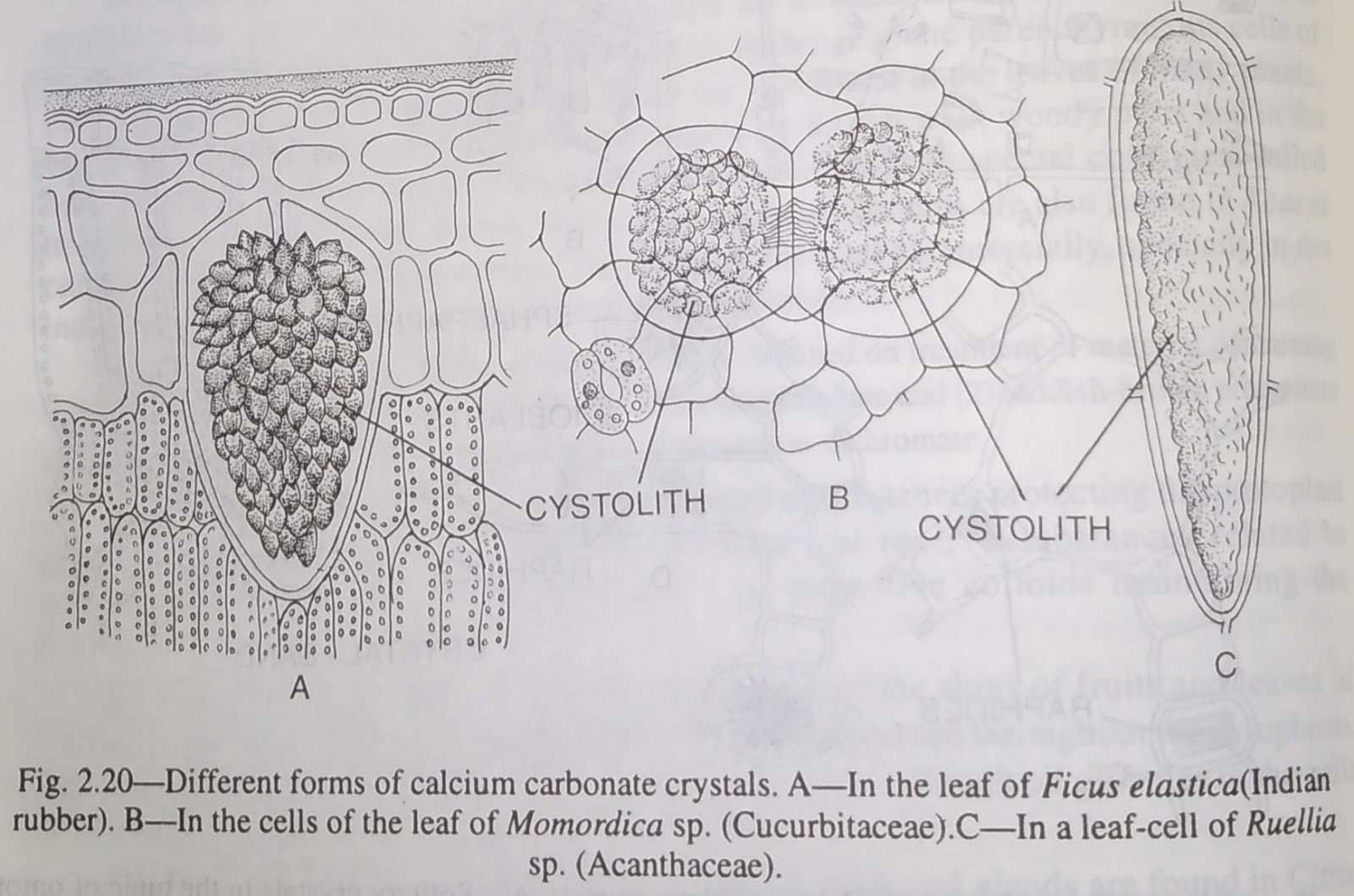 EXCRETORY MATERIALS-digieduco
