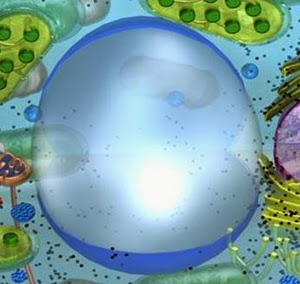 La Celula: marzo 2015