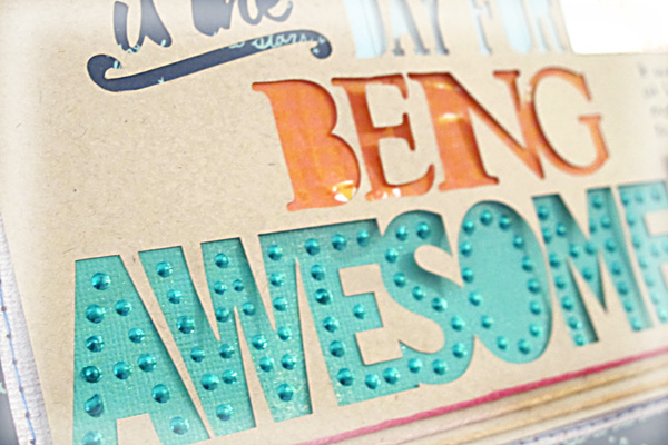 One Scrappy Doctor: The Story of Being Awesome