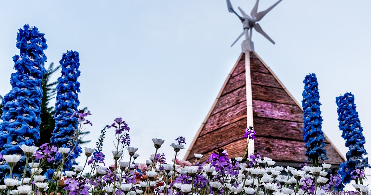 The windmill and flowers in the spring at Yokohama Garden, Japan ...