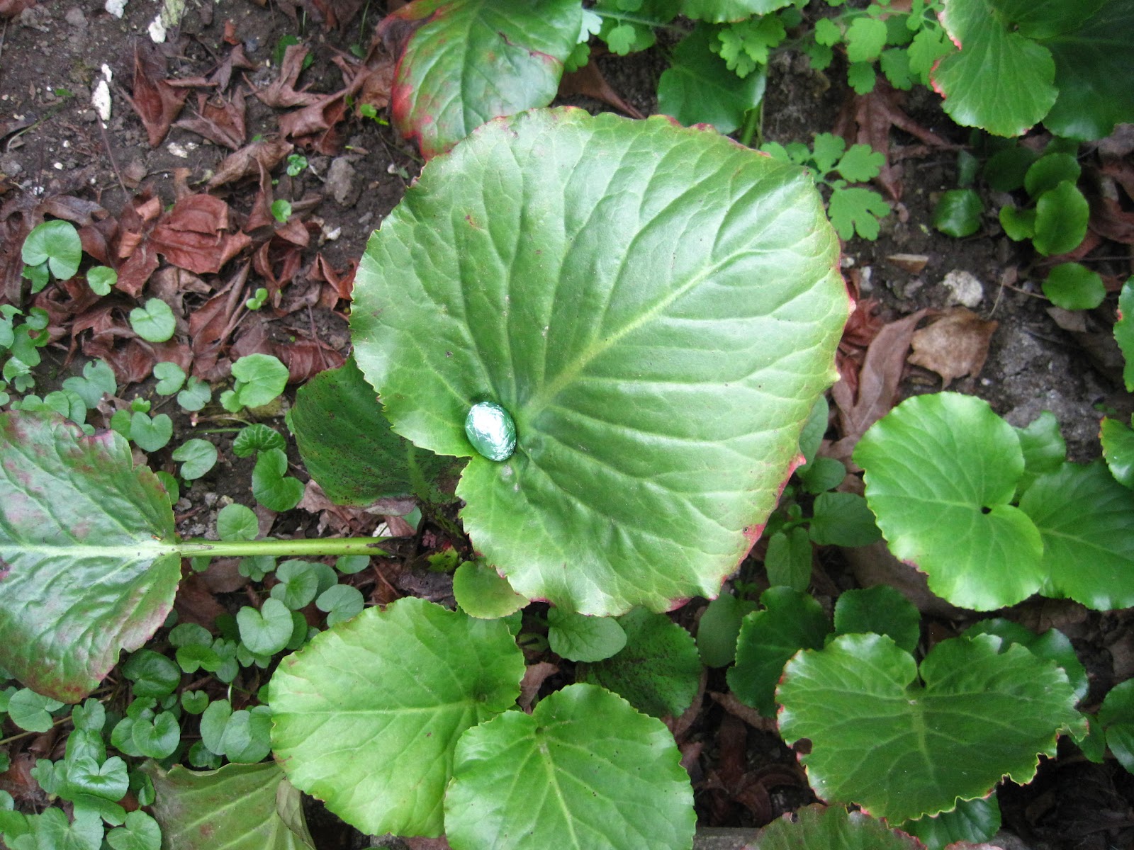 Paris Daze: Easter in France: Fish and Flying Bells Galore