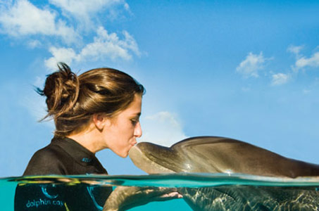 La teoria de l'iceberg: A human-dolphin sex story