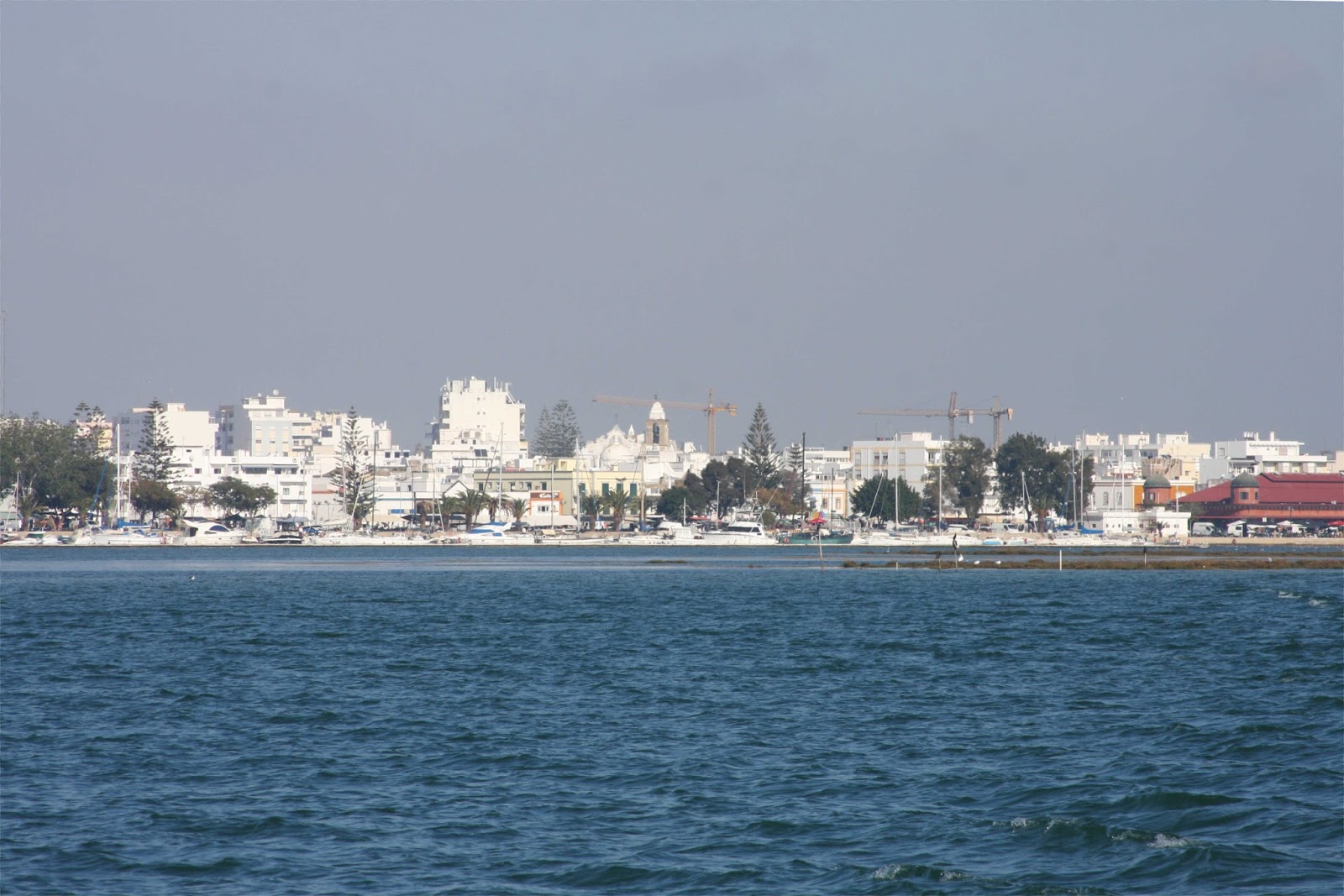 The Wanderer's Chronicles: Chronicles from Algarve | A Cruise in Ria ...