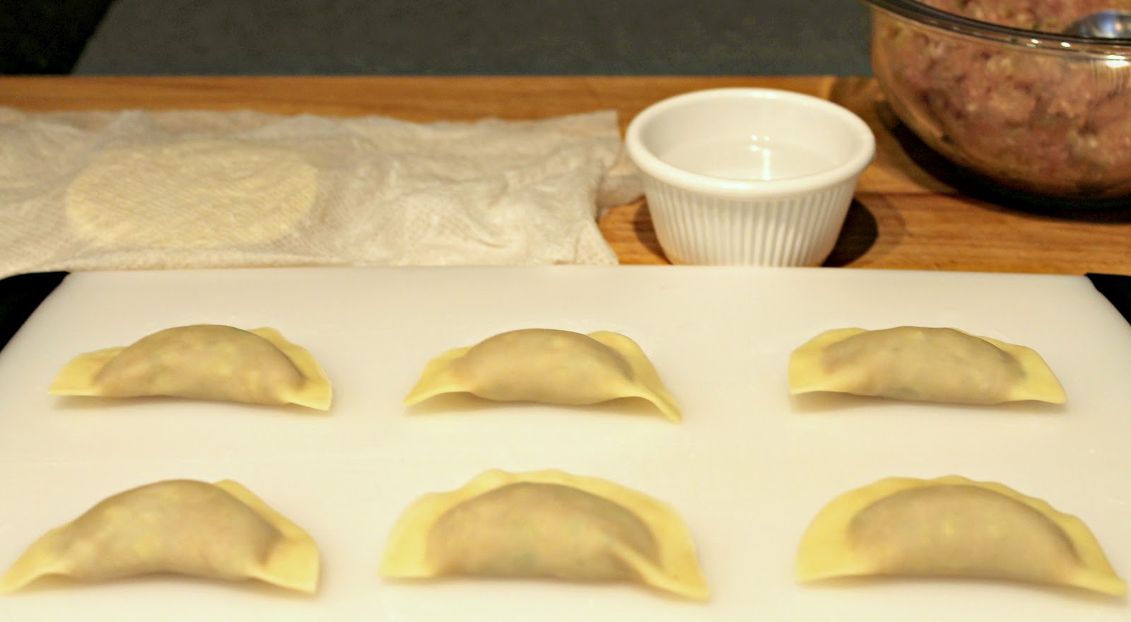Sandra's Alaska Recipes: SANDRA’S ASIAN PORK DUMPLINGS with GINGER SOY ...