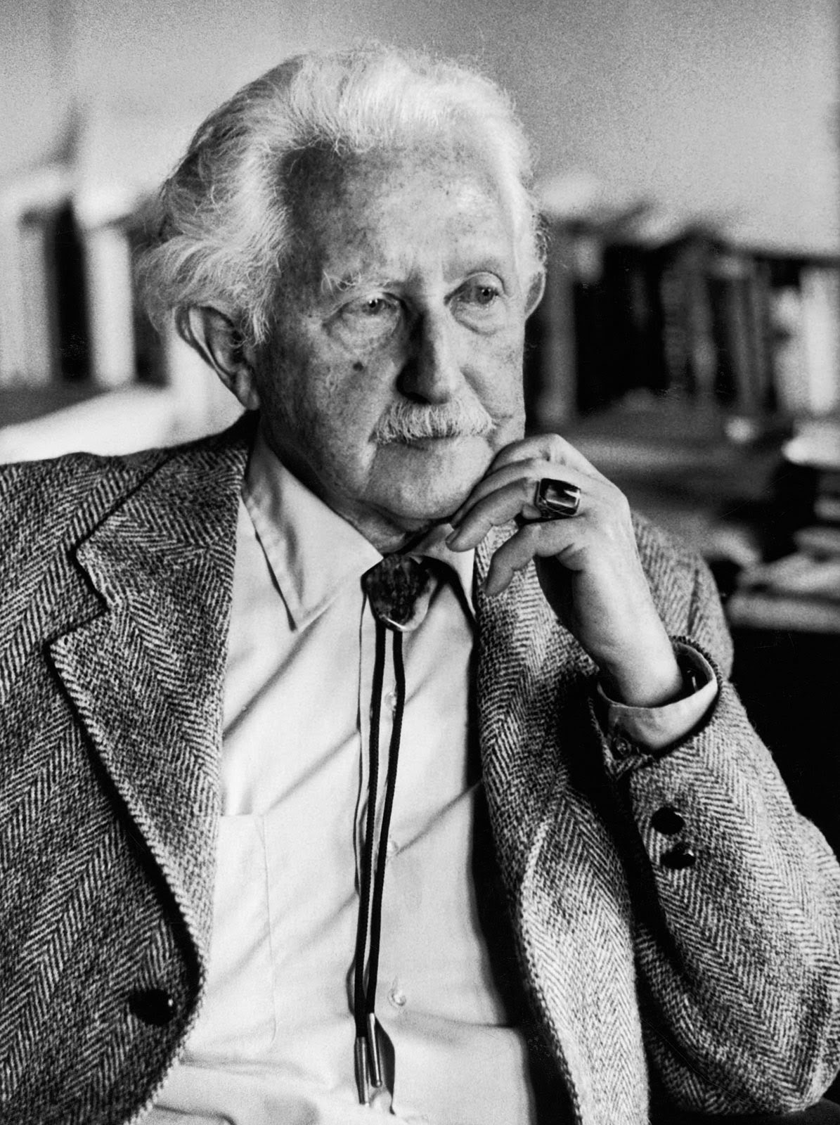 THE CONFESSING COW: On Erik Erikson's Personality Theory