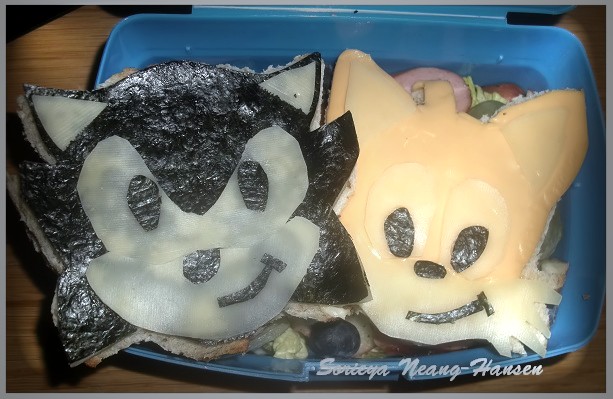 Sorieya's Homemade Cooking: Sonic the Hedgehog and Tails