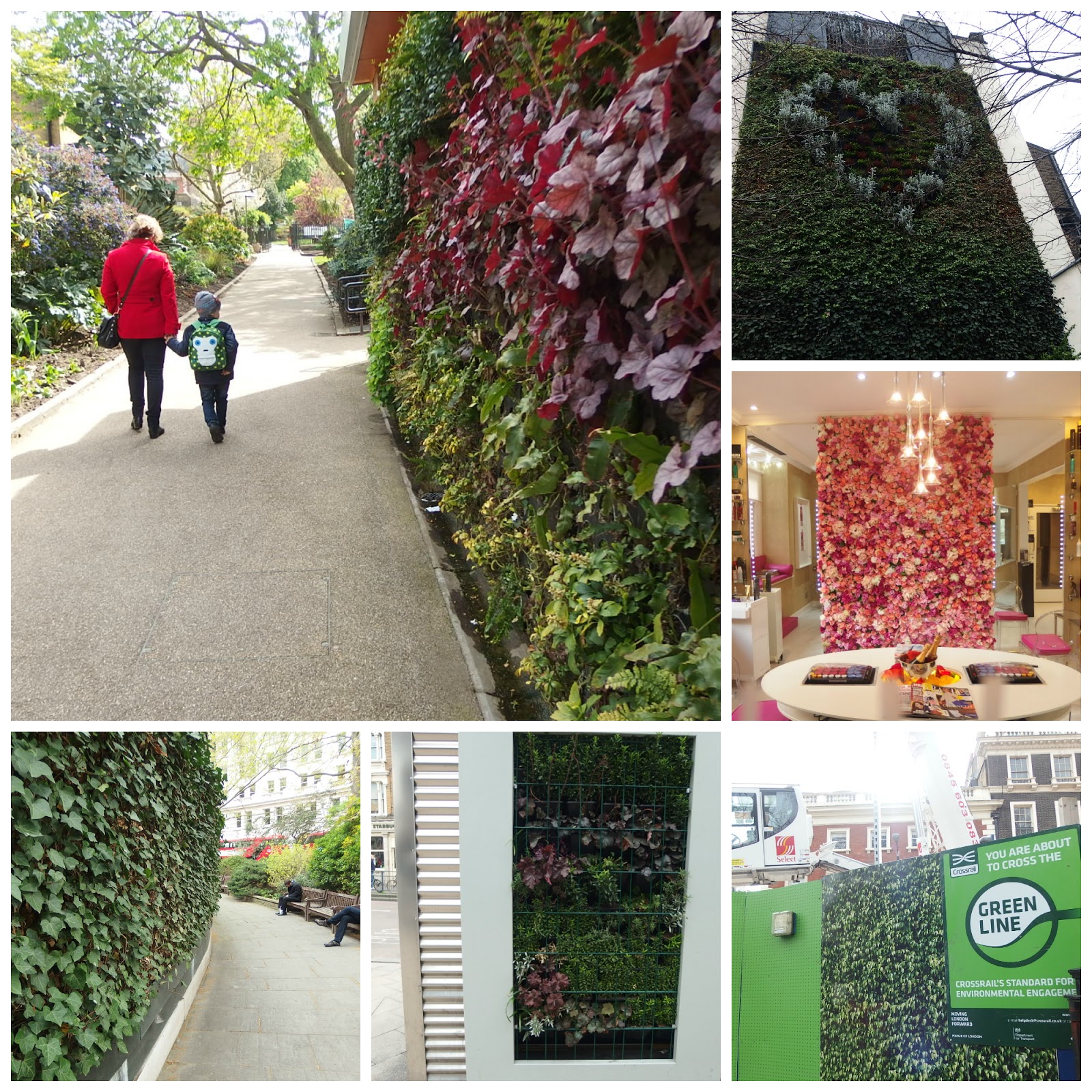 The Great Green Wall Hunt: The story so far