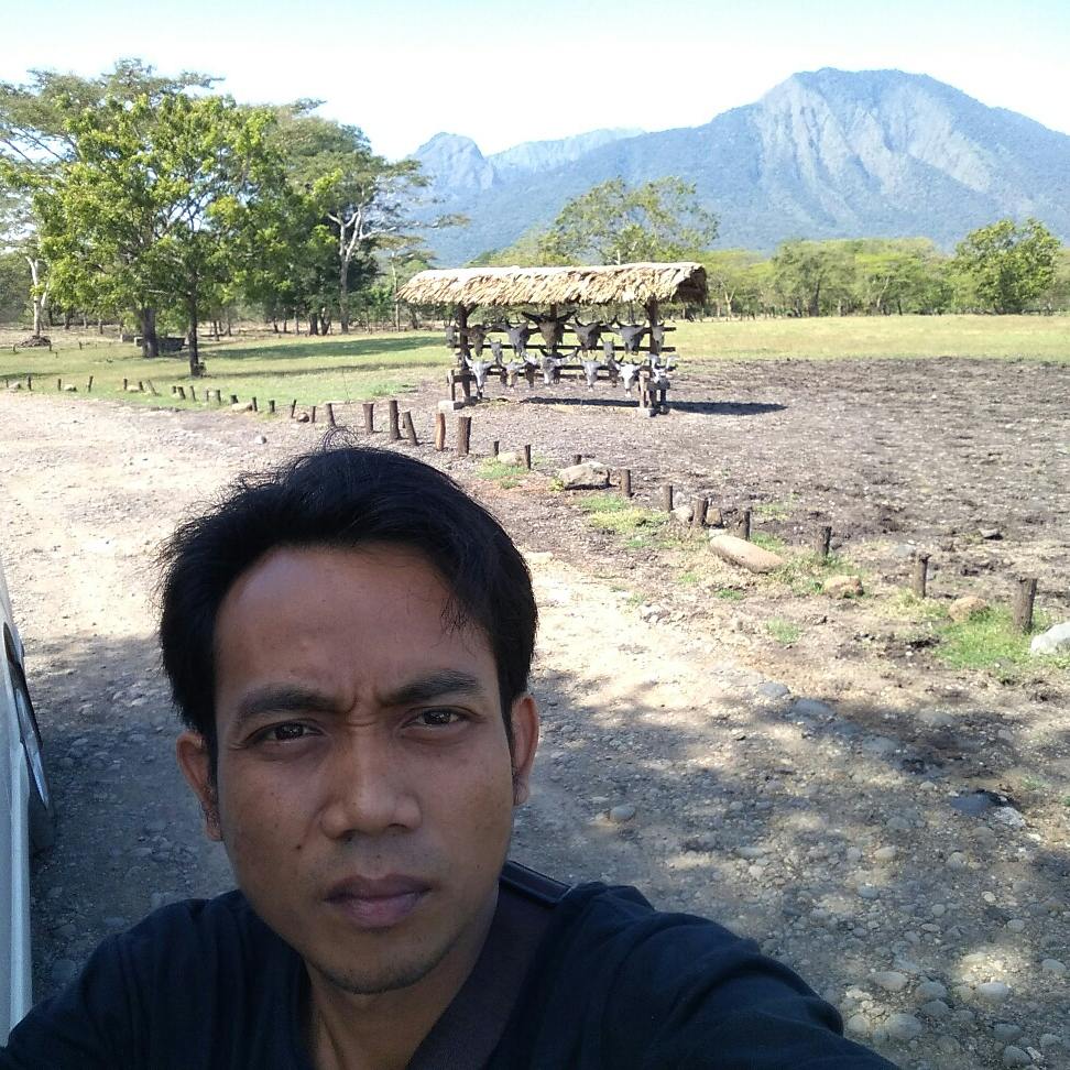 Rental mobil dan Tour wisata Yogyakarta: Taman nasional baluran (AFRIKA ...