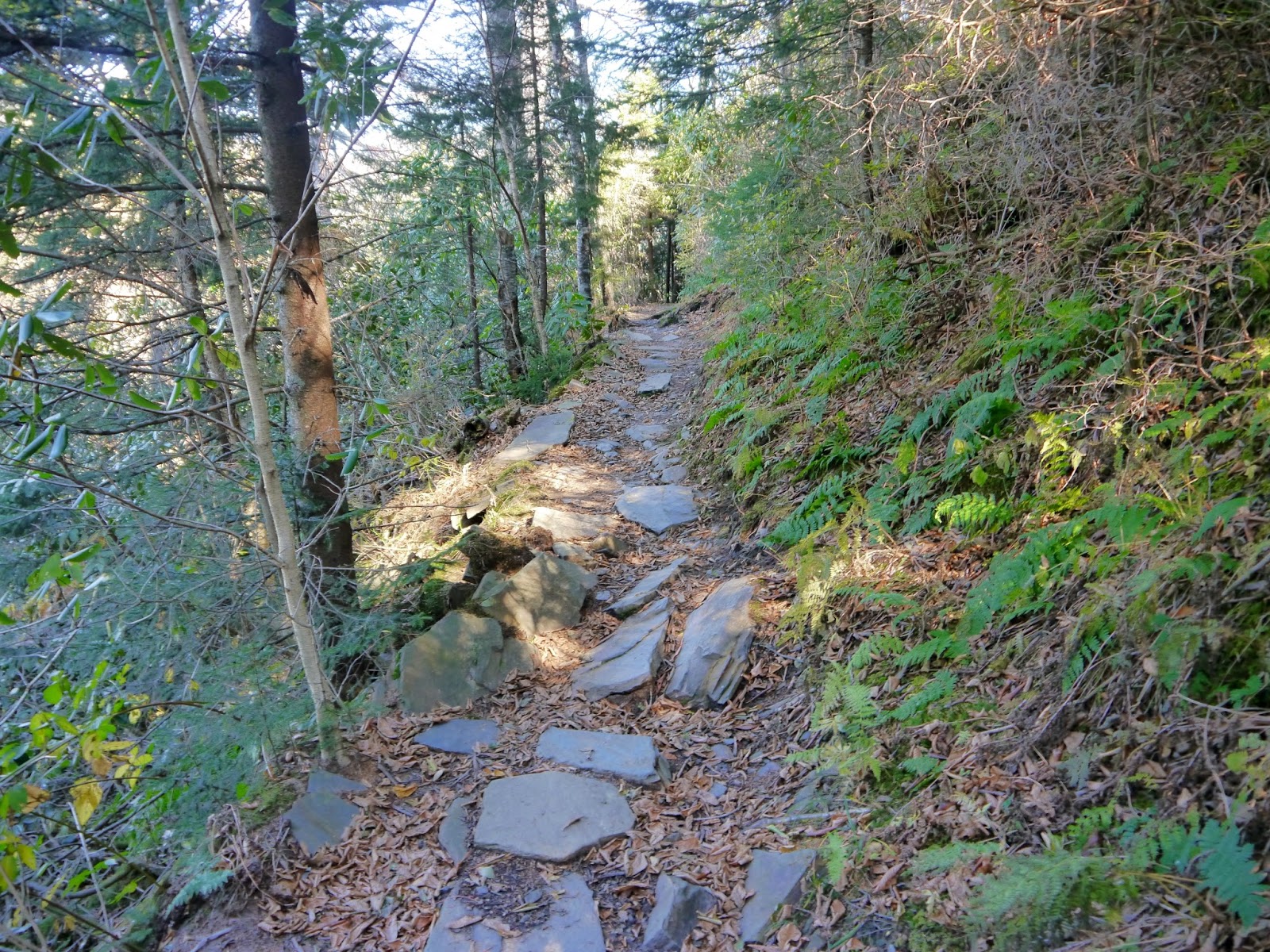 American Travel Journal: Road Prong Trail to Newfound Gap - Appalachian ...