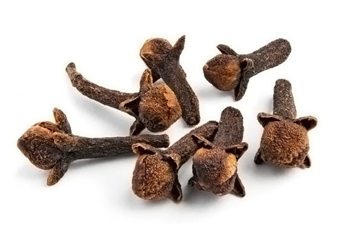 Karanfil nedir ne demektir? Anlamı - Laf Sözlük