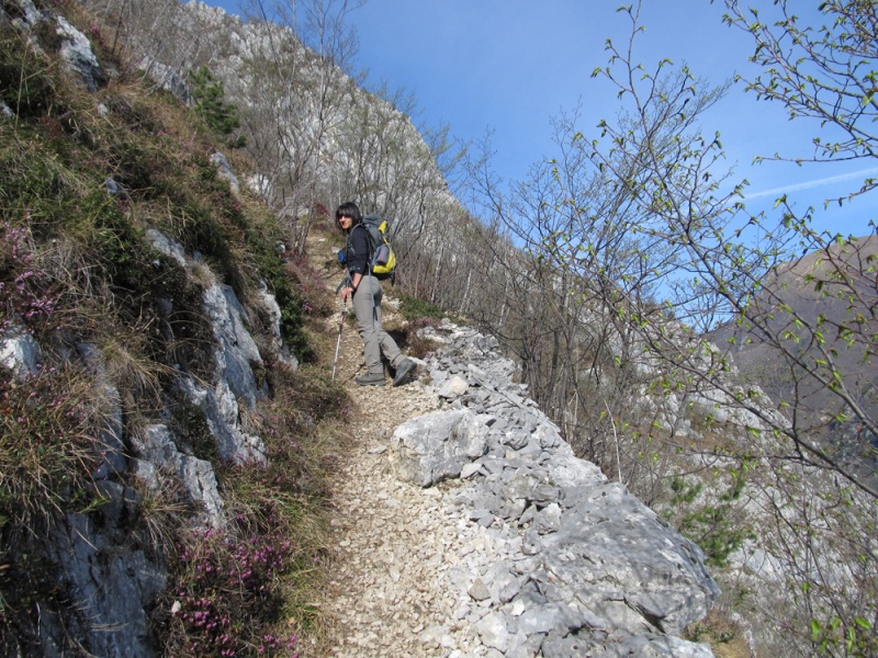 Escursionismo a 360°: Le creste di Pregasina (EE)