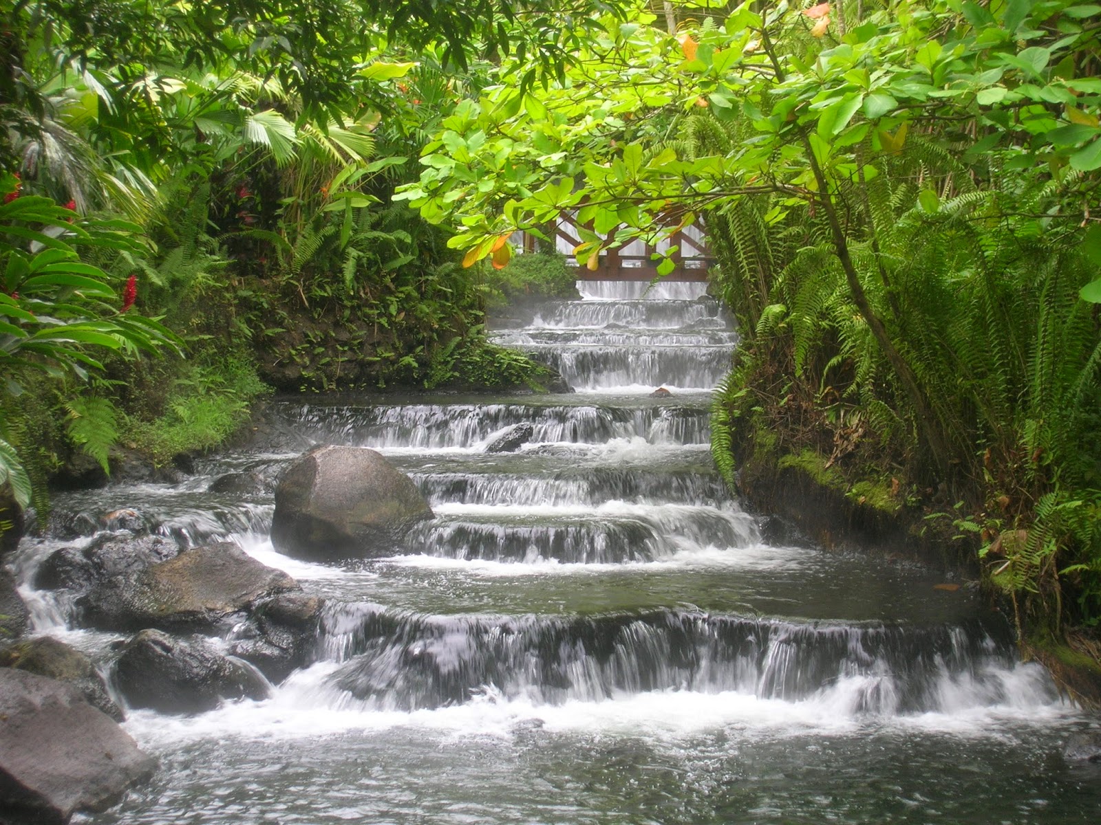 Costa Rica Hot Springs Tabacon at Claire Haswell blog