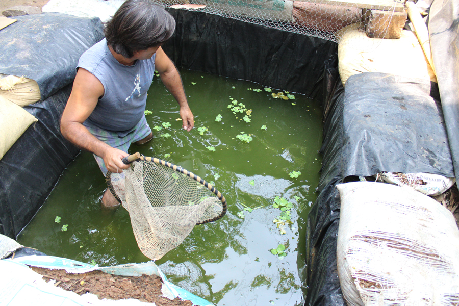 UNBOUND Comunicaciones Guatemala: Padre guatemalteco encuentra ...