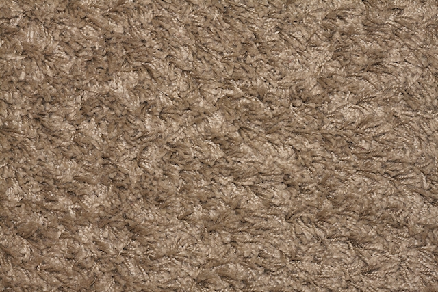 Rug Texture