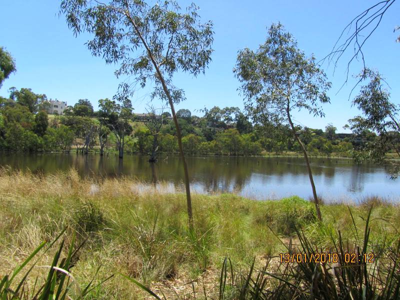 TRACKS, TRAILS AND COASTS NEAR MELBOURNE : Banyule